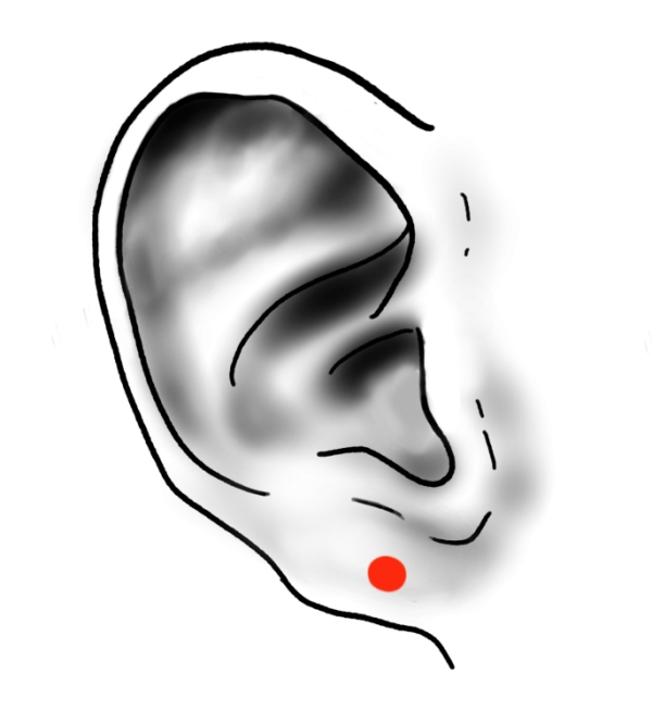 Body Piercing – The Wolves Den – Tattoos, Laser Removal & Piercings in ...